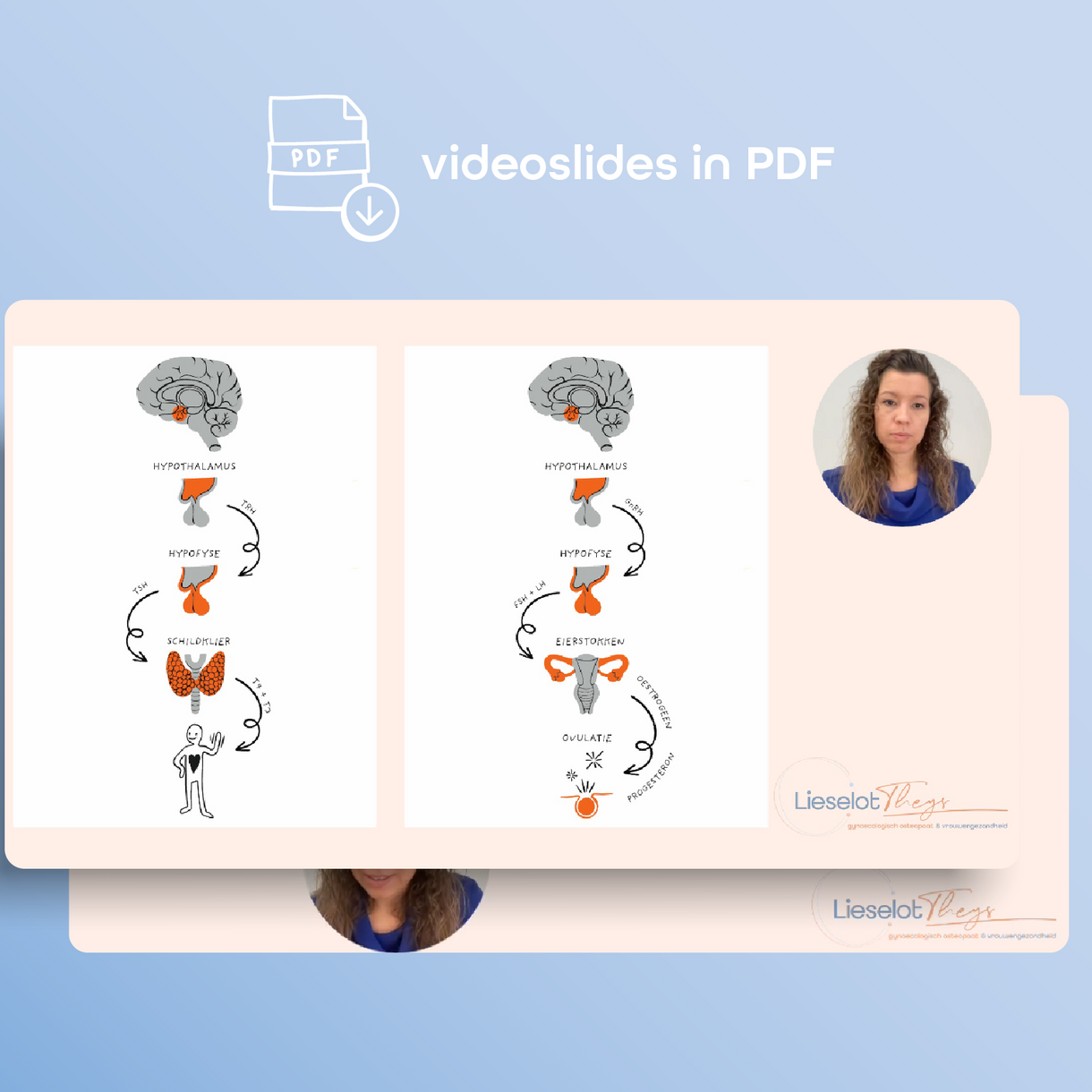 Ontcijfer PCOS – Lieselot Theys